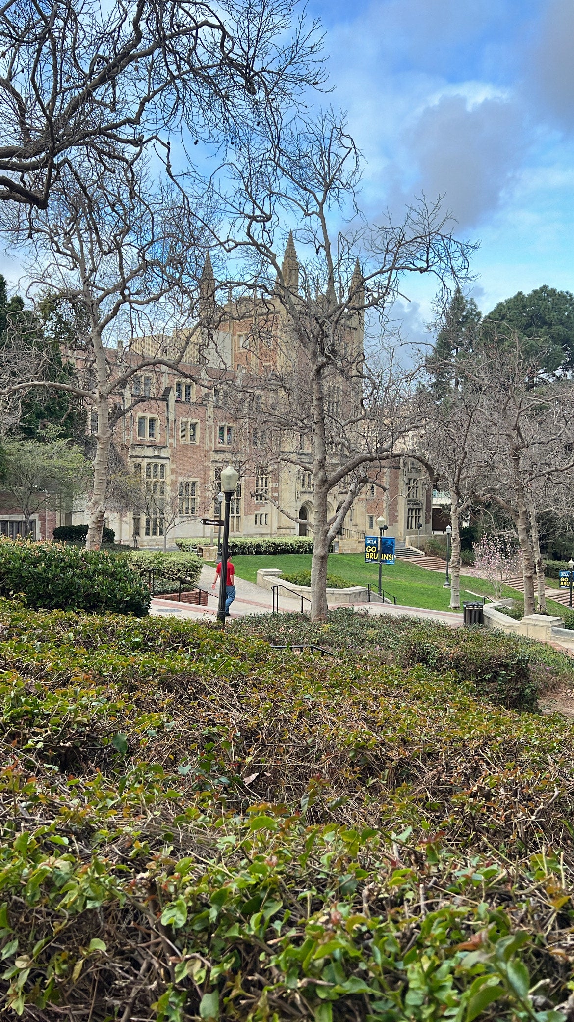 Why LA? | Hayes Research Lab